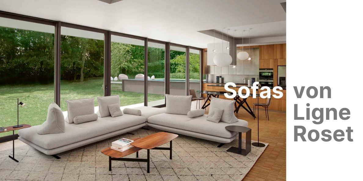 Sofas - Ligne Roset Hamburg
